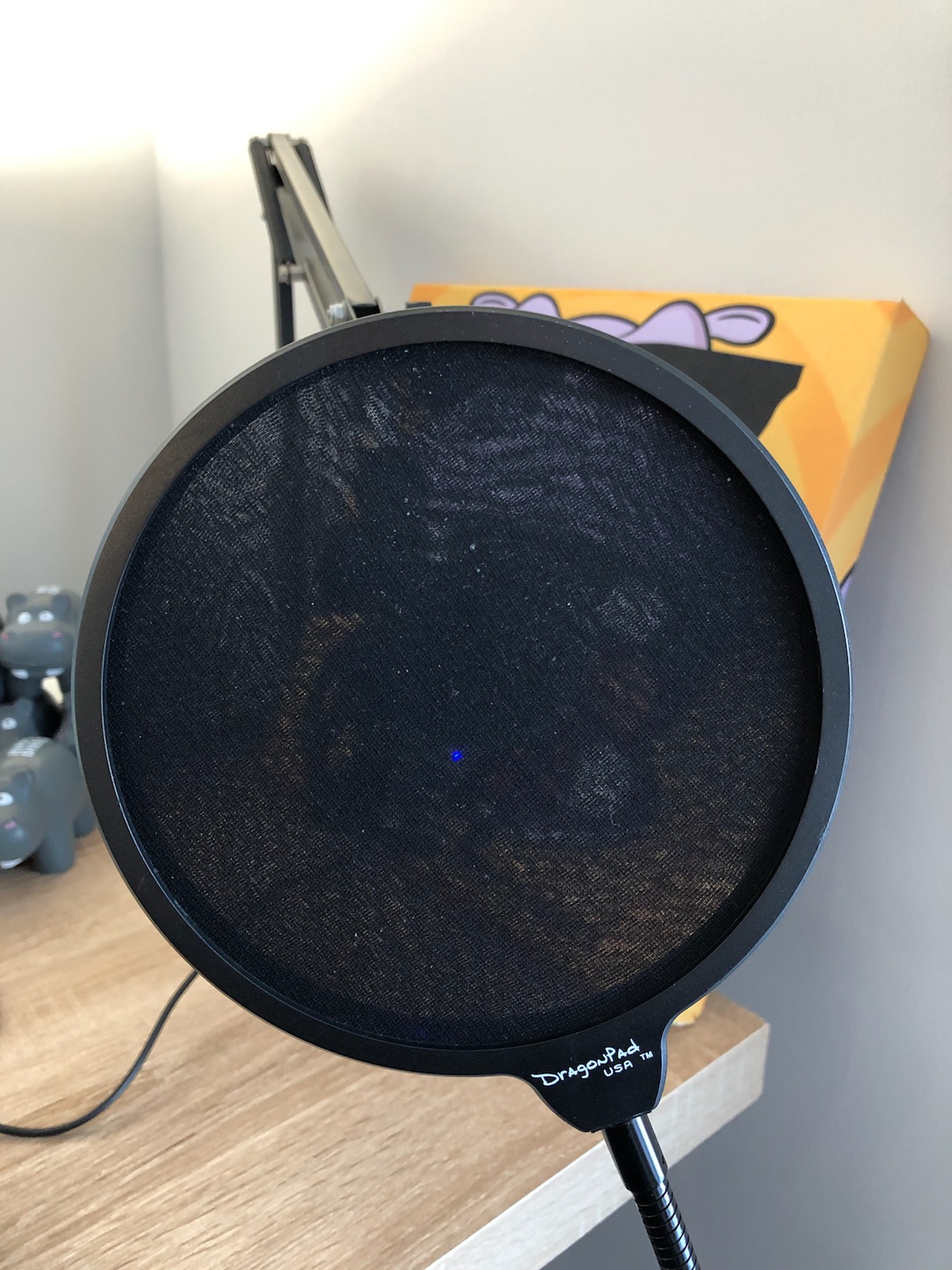 Why Should You Practice Recording Into Your Podcast Mic? – MaxPodcasting